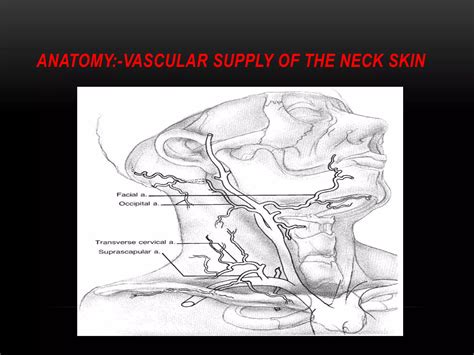 Types Of Neck Dissection PPTX
