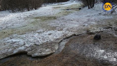 Шар усны үерээс урьдчилан сэргийлэх хариу арга хэмжээг авч хэрэгжүүлж байна Dnn Mn