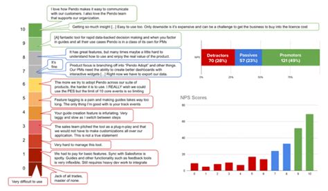 Pendo Nps Coding Dr Jeunese Payne