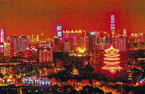 The Government Of Wuhan