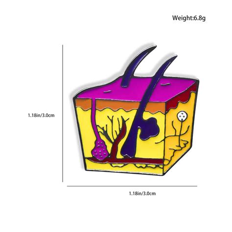Tissue Box Project For Anatomy