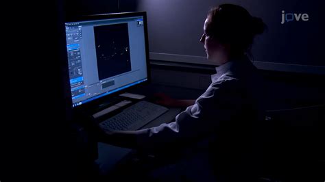 Video In Vivo Calcium Imaging Using Synaptically Localized Calcium