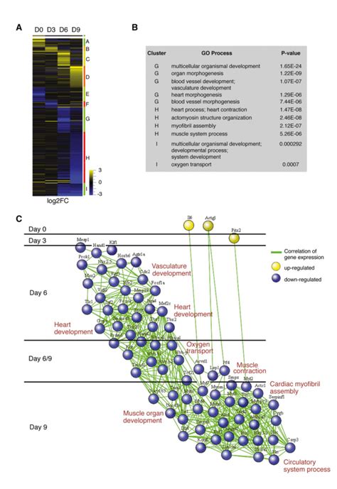 RNA I Figure Mapping Ignorance