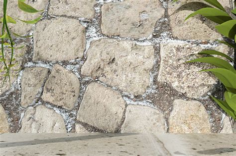 유기농 건강 및 친환경 제품을 전시하기 위해 돌담 배경에 햇빛이 비치는 단풍이 있는 최소한의 콘크리트 카운터 0명에 대한 스톡 사진 및 기타 이미지 Istock