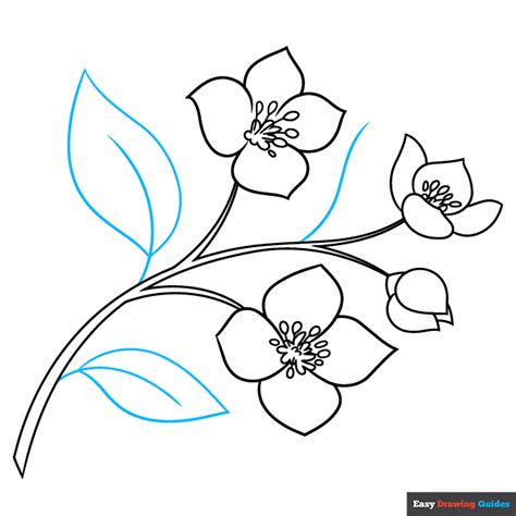 How To Draw A Jasmine Flower Really Easy Drawing Tutorial
