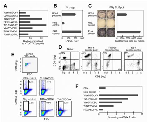 Generation And Characterization Of Hla A0201 Restricted Hiv 1