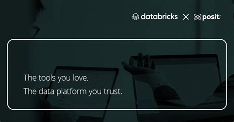 databricks posit
