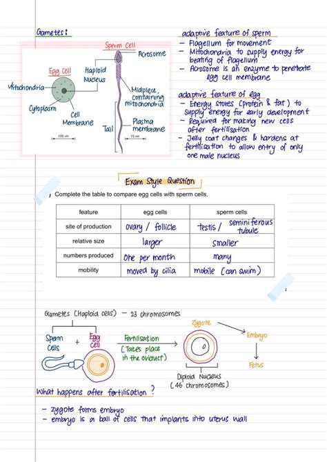 Comprehensive Revision Guide Cambridge Igcse Biology 0970 And 0610 2023 2025 Syllabus