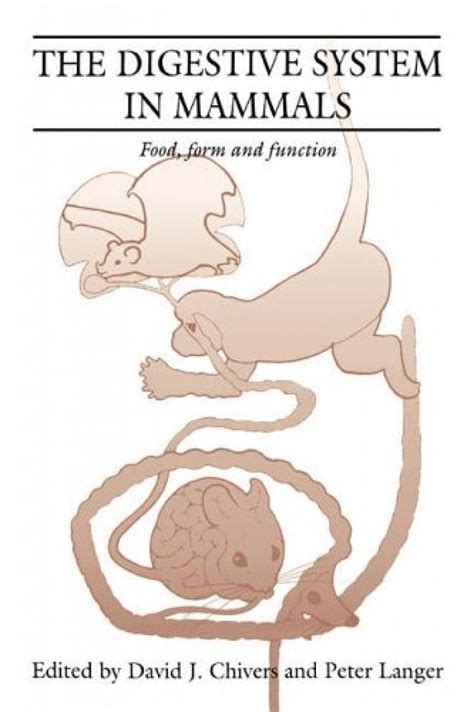 The Digestive System In Mammals Food Form And Function Nhbs Academic And Professional Books