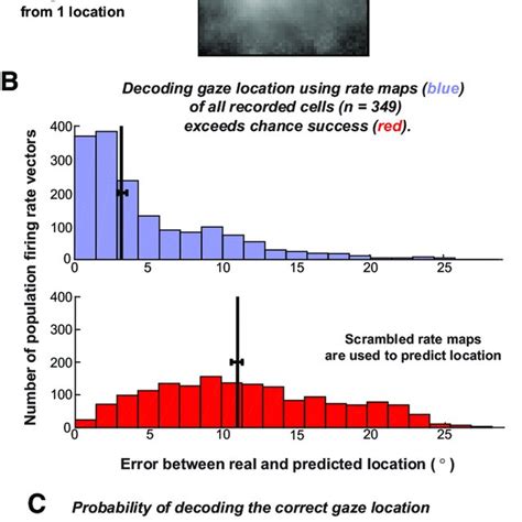 Gaze Location Can Be Decoded From Population Neural Activity A Download Scientific Diagram
