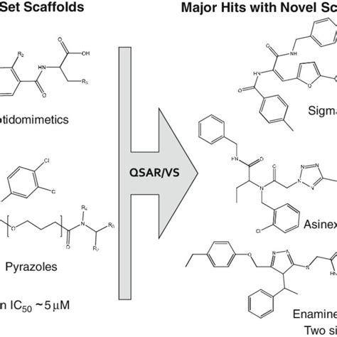 3 Application Of Predictive Qsar Workflow Including Virtual Screening Download Scientific