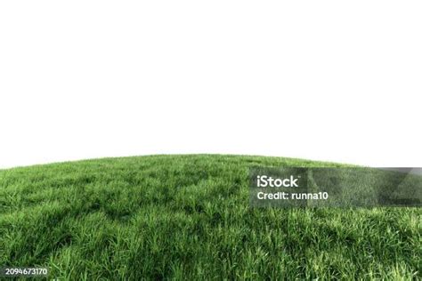 무성한 푸른 잔디 잔디밭 언덕 신선한 자연 흰색 배경에 고립 된 클리핑 경로 3d 렌더링 언덕에 대한 스톡 사진 및 기타 이미지 언덕 풀 벼과 잔디 Istock