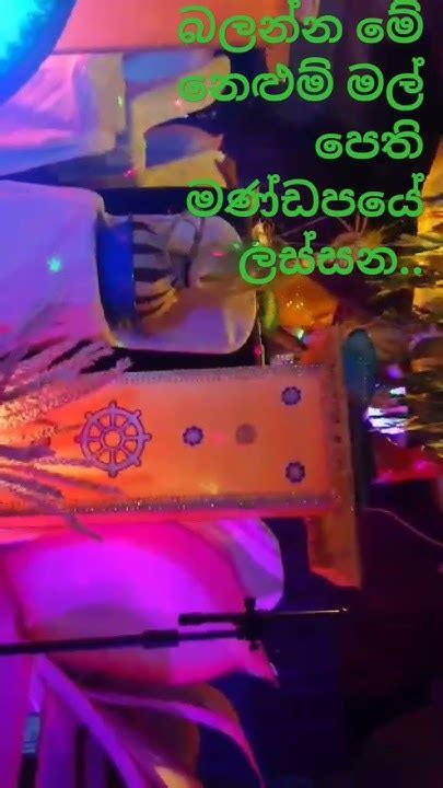 කලා ශූරී චිත්‍ර ශිල්පී තුෂාර මහත්මාගේ නව නිර්මාණයක් සම්බන්ධ කරගන්න