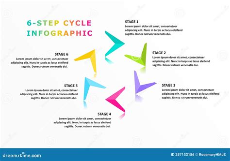 5 Step Cycle Diagram Cartoon Vector 78702907