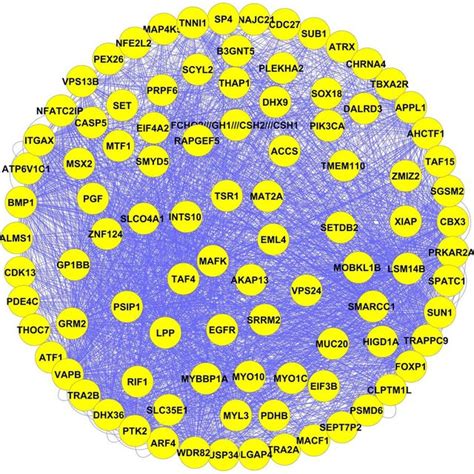 Gain And Loss Comparison Obtained From Cgh And Cgh Array Analysis In Download Scientific