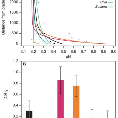 Microscale Ph Variability Across Diffusive Boundary Layers Of Blades Of Download Scientific