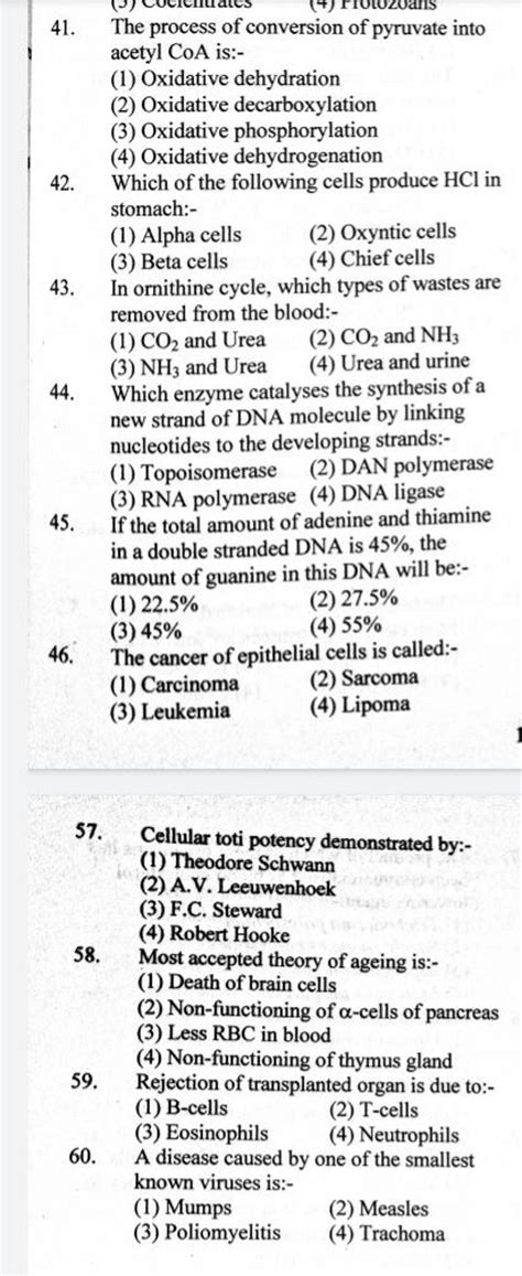 The Process Of Conversion Of Pyruvate Into Acetyl Coa Is Filo