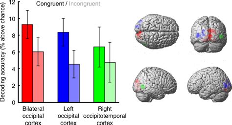 Stimulus Decoding Accuracies Across Regions Of Interest In The Visual Download Scientific