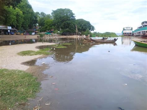 ညောင်ဦးမြို့နယ်တွင် ဧရာဝတီမြစ်ရေမှတ် စိုးရိမ်ရေမှတ်ရောက်ရှိရန် ၂၁၂၀စင