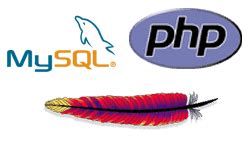 Instalar Servidor LAMP Apache MySQL Y PHP En Ubuntu Linux 12 04