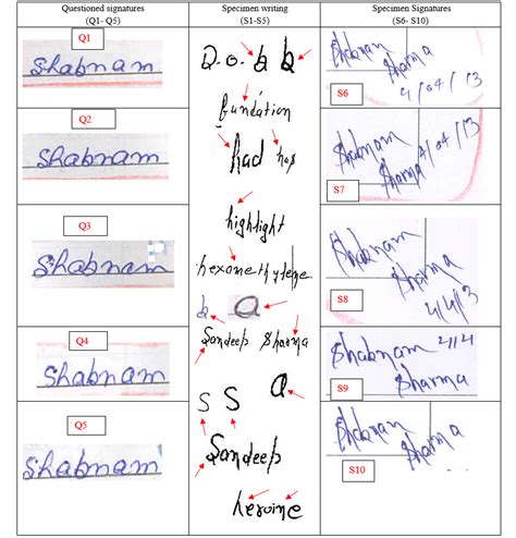 Attempt To Concealed The Identity By Modifying Deliberately The
