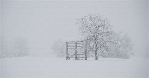 울타리와 나무가 있는 눈 덮인 들판 사진 Unsplash의 극한의 날씨 이미지