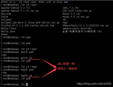 Linux相对路径与绝对路径用相对路径和绝对路径的方法从主目录进入子目录 Csdn博客