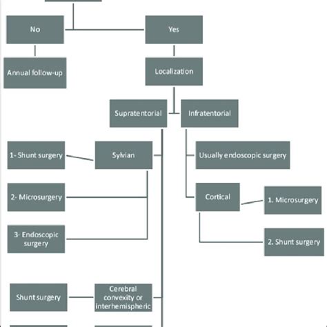 Graphic Shows The Follow Up And Treatment Algorithm Of Intracranial