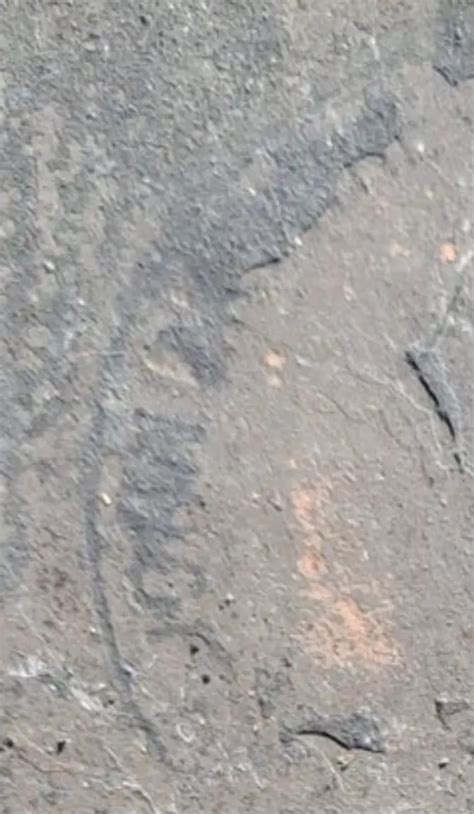 Tile Identification Diynot Forums