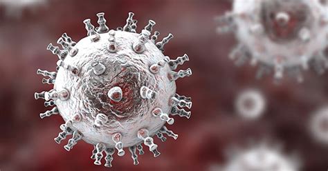 Sexually Transmitted Viruses Mate Threatening To Produce New Super Diseases