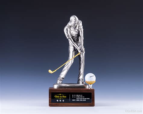 Sk314 주석트로피 싱글패 홀인원패 이글패 골프 트로피 기념패 제작 Sk314 주석트로피 싱글패 홀인원패 이글패 골프 트로피 기념패 제작