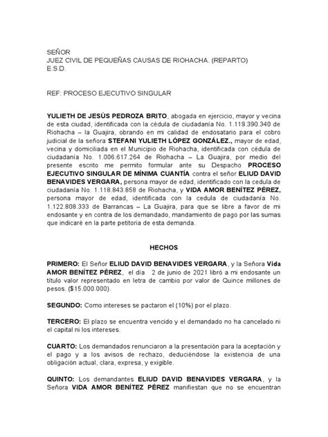Demanda Ejecutiva Pdf