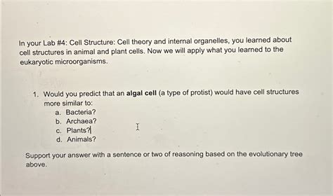 Solved In Your Lab 4 Cell Structure Cell Theory And