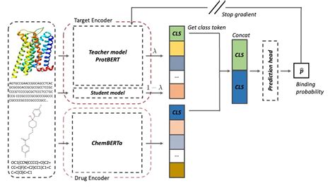Github Jonghyunlee1993dlm Dtihint Based Learning