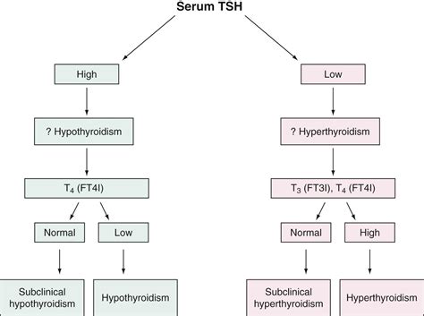 Disorders Of The Thyroid Gland Clinical Tree