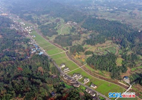 丹棱百里碧波映青山 万亩粮田泛绿涛 四川在线