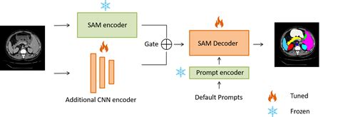 ladder fine tuning approach for sam integrating complementary network