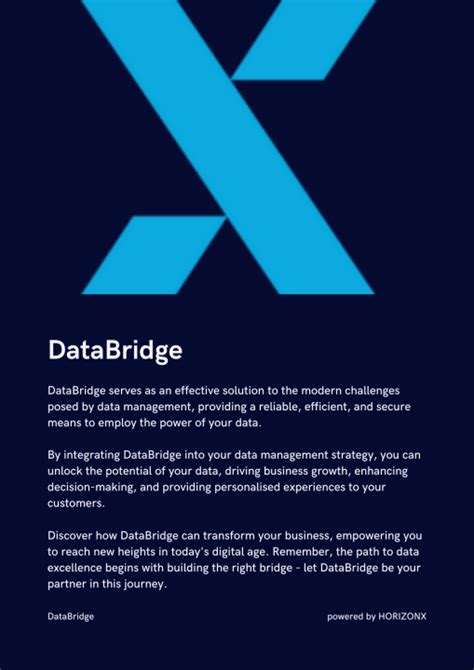 databridge s entity resolution algorithm building the bridge to success