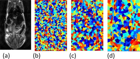 Supervoxel Illustration Ac Typical Supervoxels Extracted From Three Download Scientific