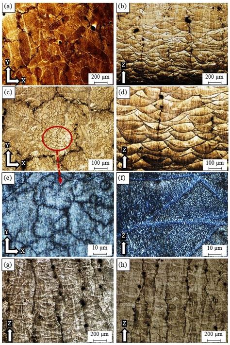 Microstructure Of The As Built Al6061 Samples Processed Under Different Download Scientific