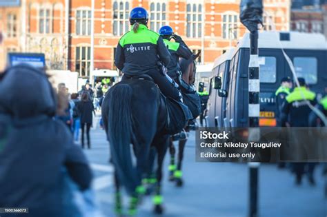 네덜란드 경찰 분대 구성과 승마 기마 경찰 백 뷰 유니폼에 경찰 로고 엠블럼이 축구 경기 후 공공 질서를 유지하고 암스테르담 센터의 거리에서 집회 거리에 대한 스톡 사진 및