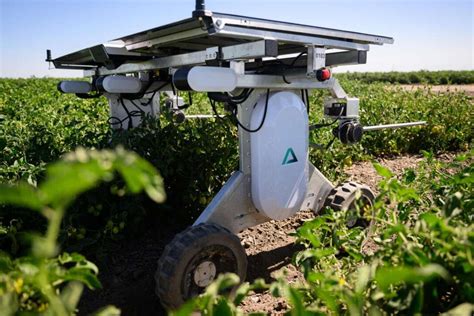 Ai Powered Weed Warriors Farming Enters A New Era The Enterprise World