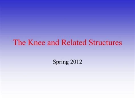 Chapter 20 The Knee And Related Structures