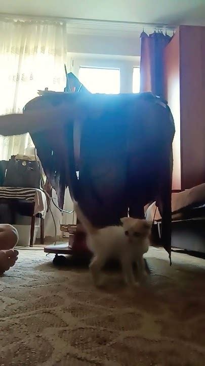 крупыш развивается 💪 - YouTube