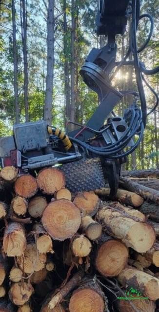 2006 Timbco 425exl Logging Processor Log Max 7000 Processor For Sale 8 000 Hours Columbus