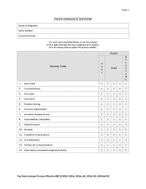 Fillable Online Performance Review Pdf SNSA Inc Fax Email Print PdfFiller