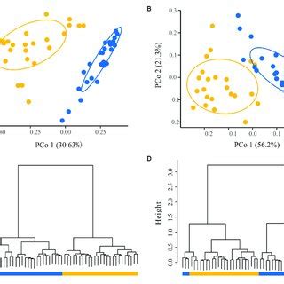 The Spatial And Temporal Patterns In The Structure Of Download Scientific Diagram