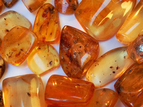 Amber Gemstone Real Vs Fake Test And What Its Worth