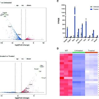 RNA Sequencing RNA Seq Shows The Preservation Of Download Scientific Diagram