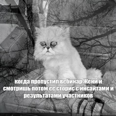 Сomics Meme когда пропустил вебинар Жени и смотришь потом ее сторис с инсайтами и результатами